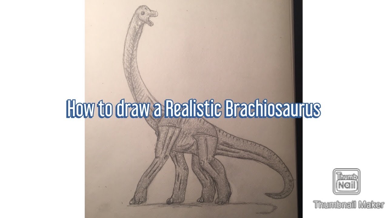 How To Draw A Realistic Brachiosaurus! - YouTube