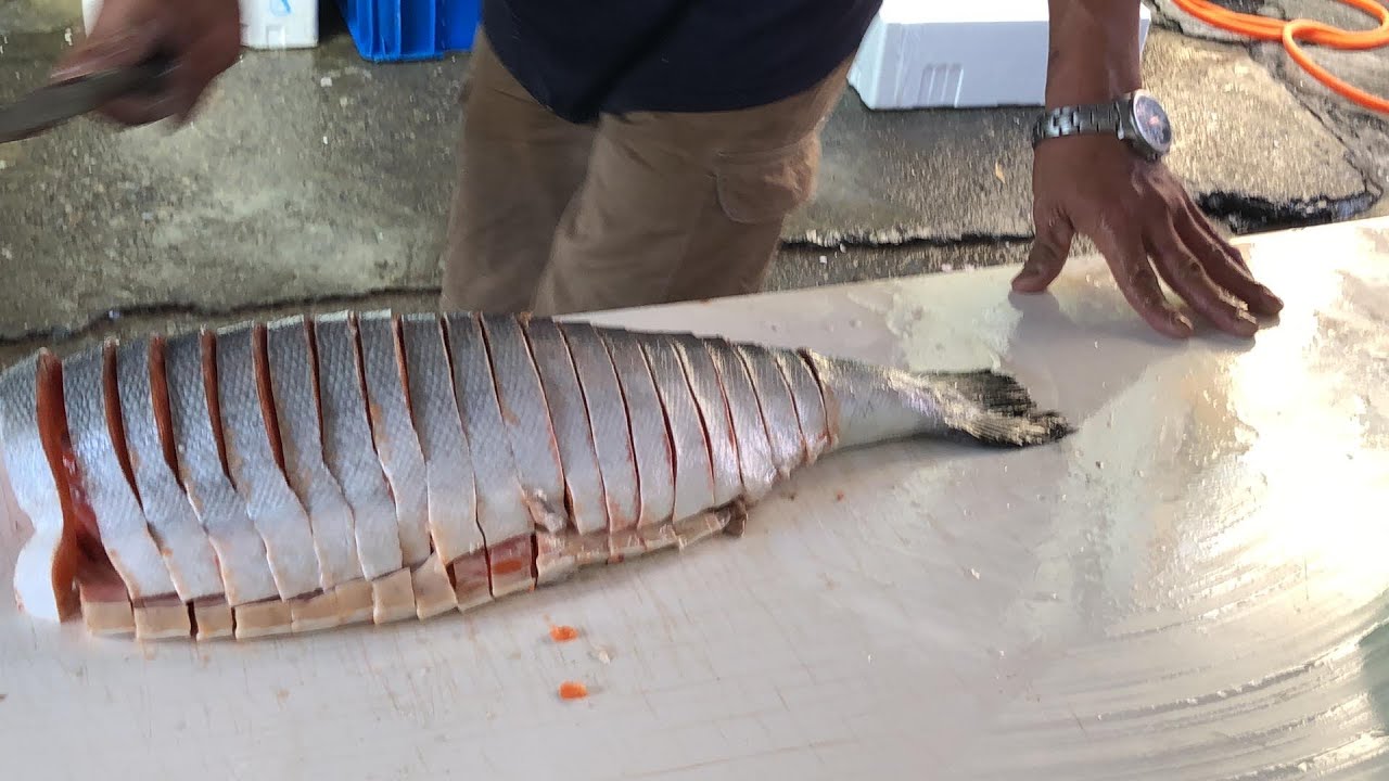 Taiwan Seafood Auction - Spanish Mackerel, Salmon Cutting ! Beautiful ...
