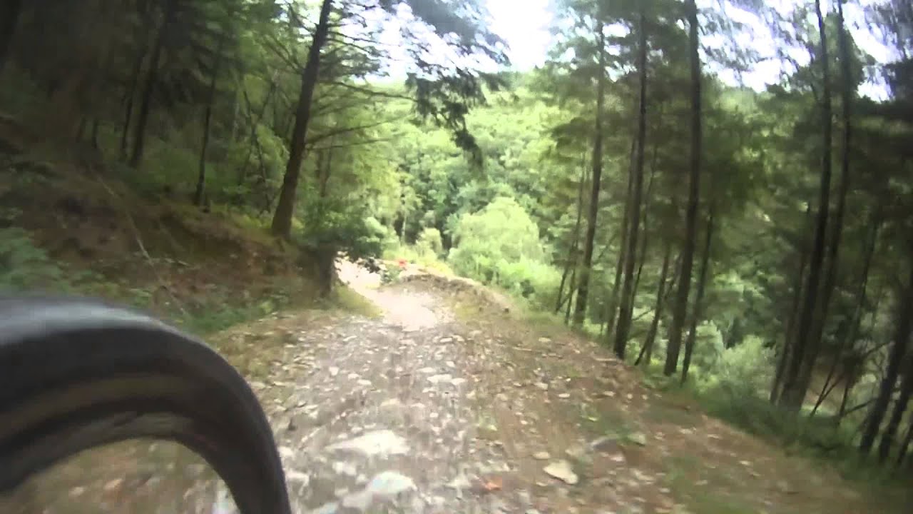 Best of* Brechfa Forest, Raven trail [black route] ~ Wales - YouTube