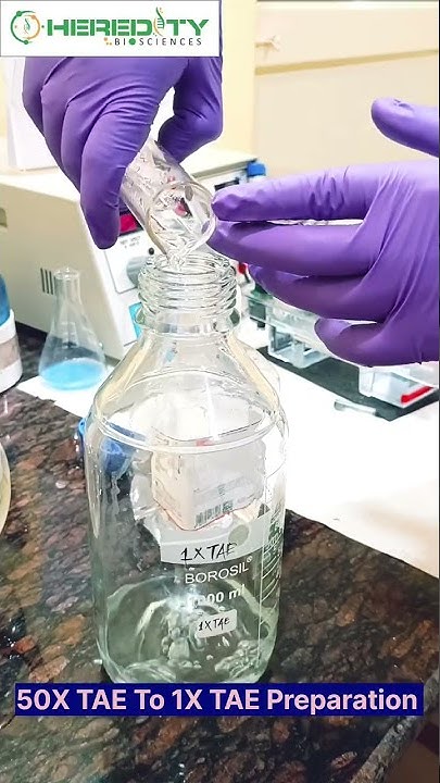 How To Make 50X TAE Buffer to 1x TAE Buffer - YouTube
