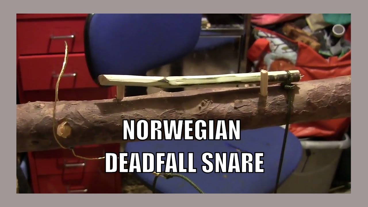 Norwegian deadfall snare - YouTube