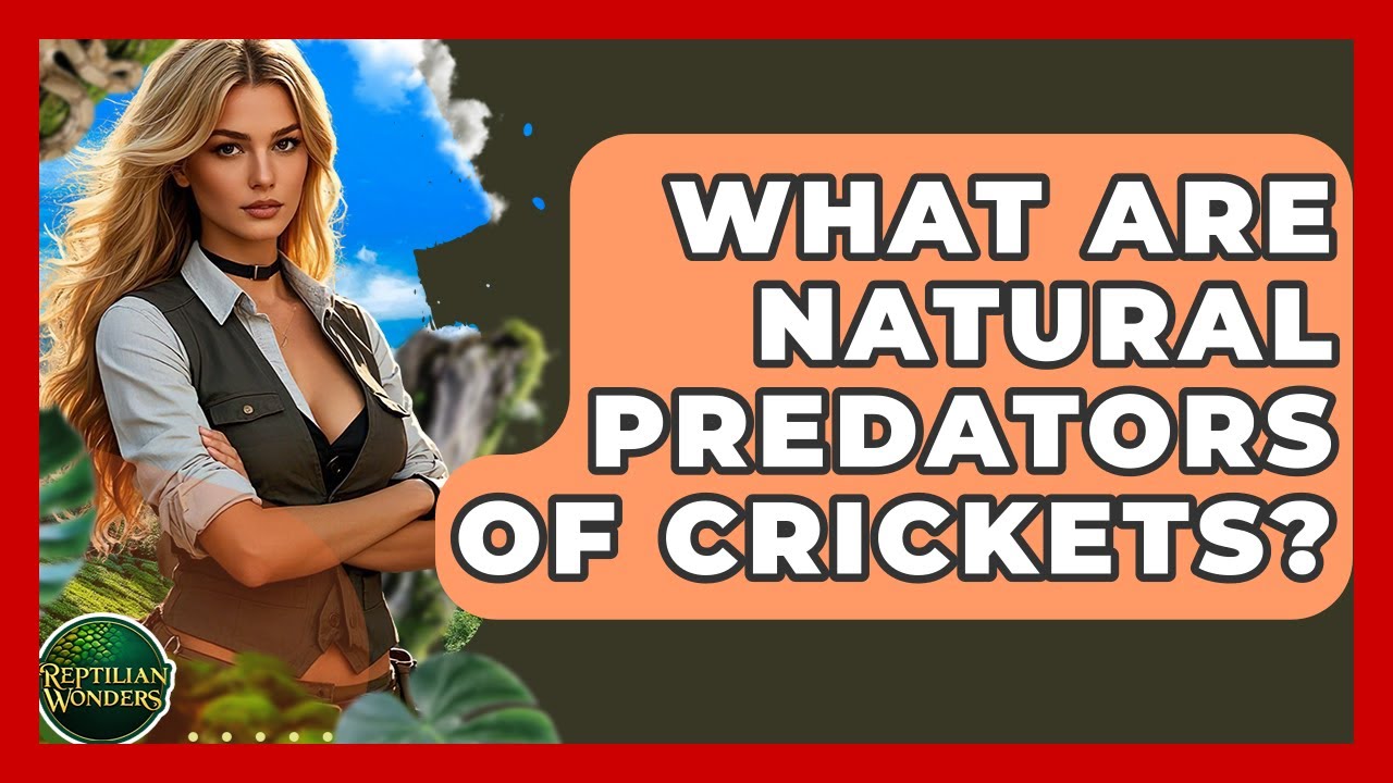 What Are Natural Predators Of Crickets? - Reptilian Wonders - YouTube