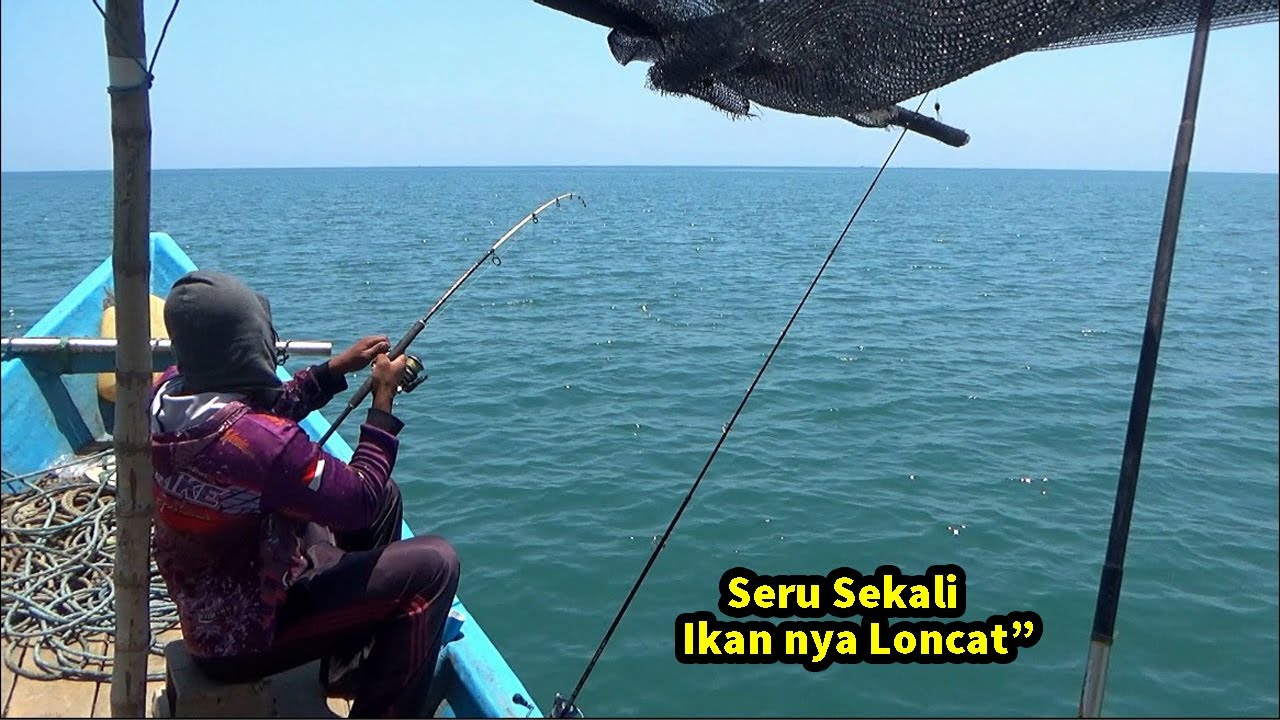 Mancing nya Seru Sekali !! Ikan nya Pada Rakus Hari Ini - YouTube