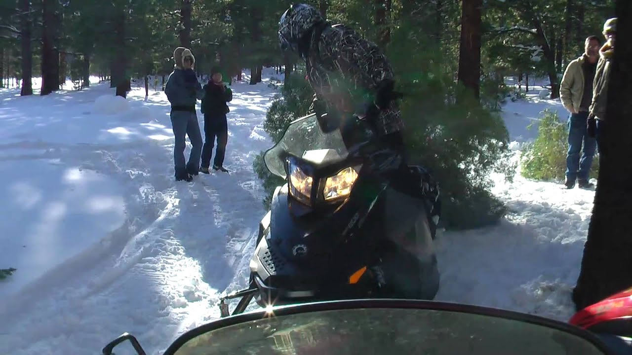 Tree Hauling with snowmobile - YouTube