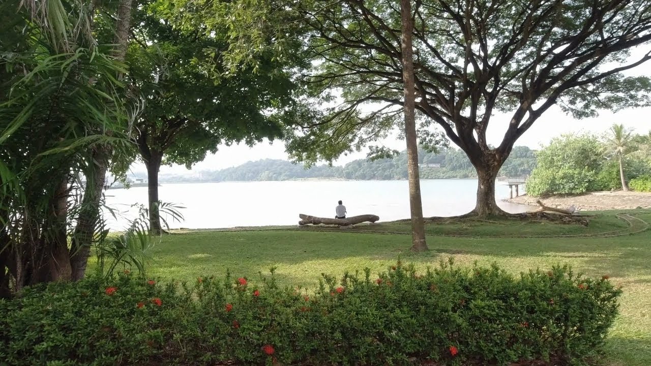 Walking along Labrador Park Coast to Jetty - YouTube