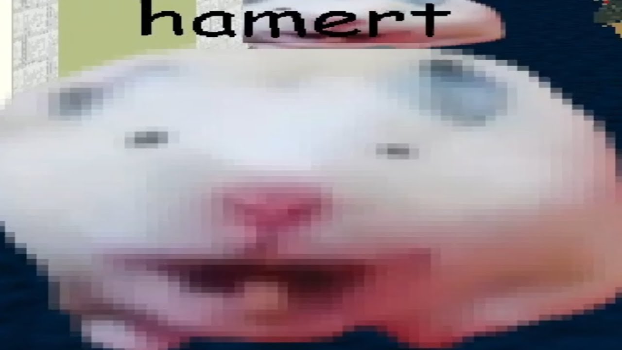 HAMERT | Baldi's Basics Full Deletion Early Access - YouTube