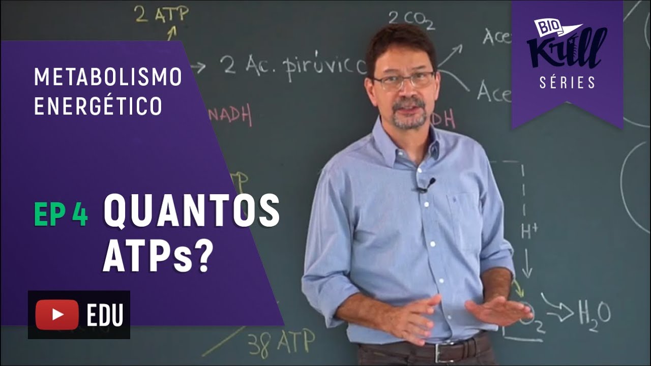BioKrill Series - Quantos ATP's são produzidos na Respiração ...