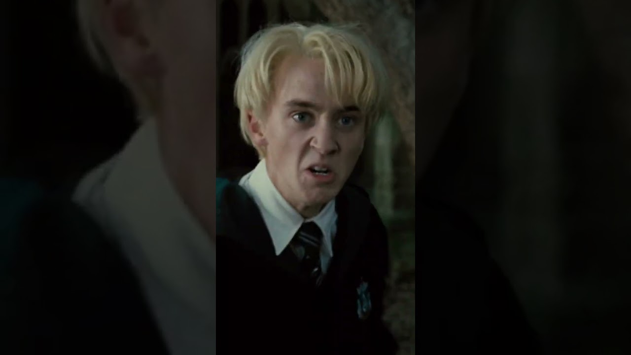 Harry Potter Professor Sinistra