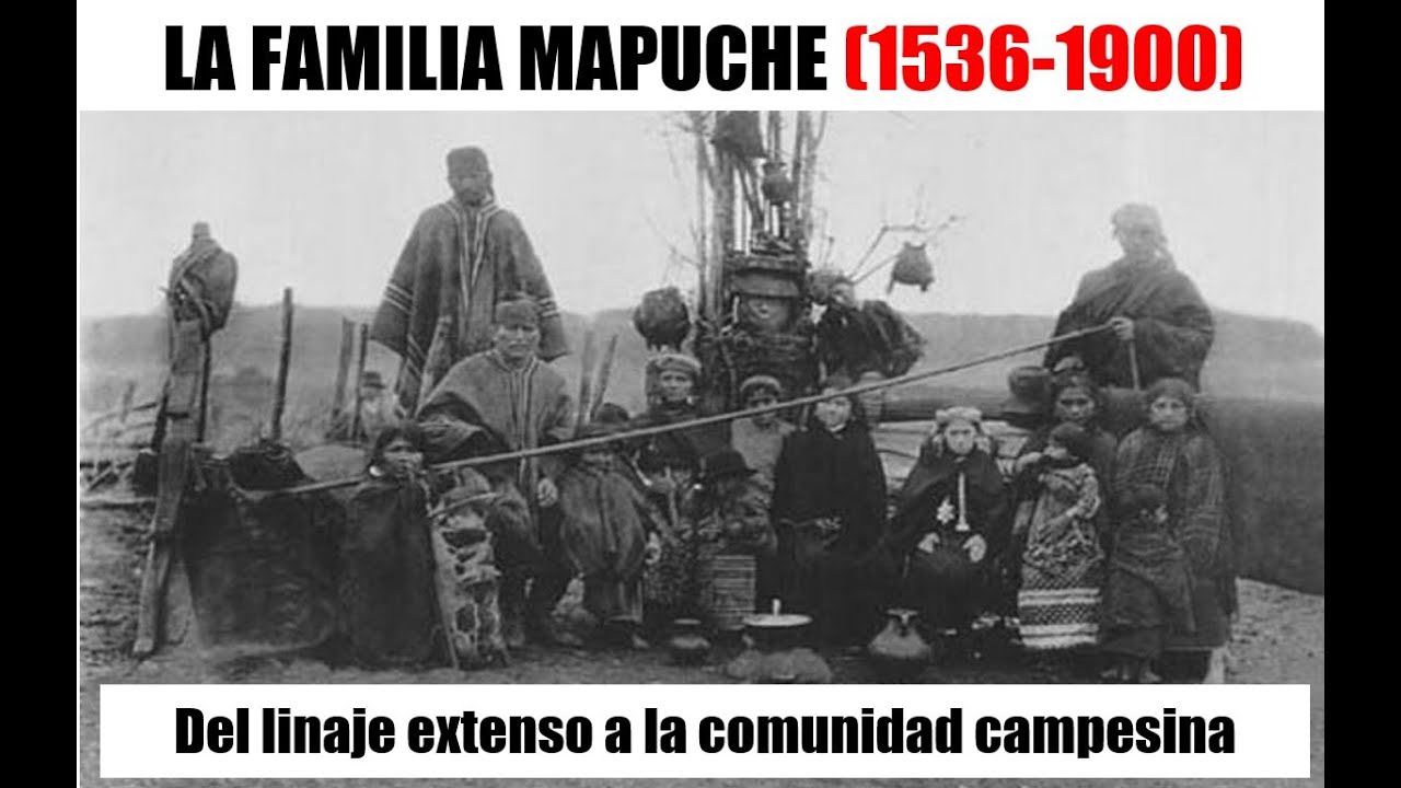 LA FAMILIA MAPUCHE (1536-1900): Del linaje extenso a la comunidad ...
