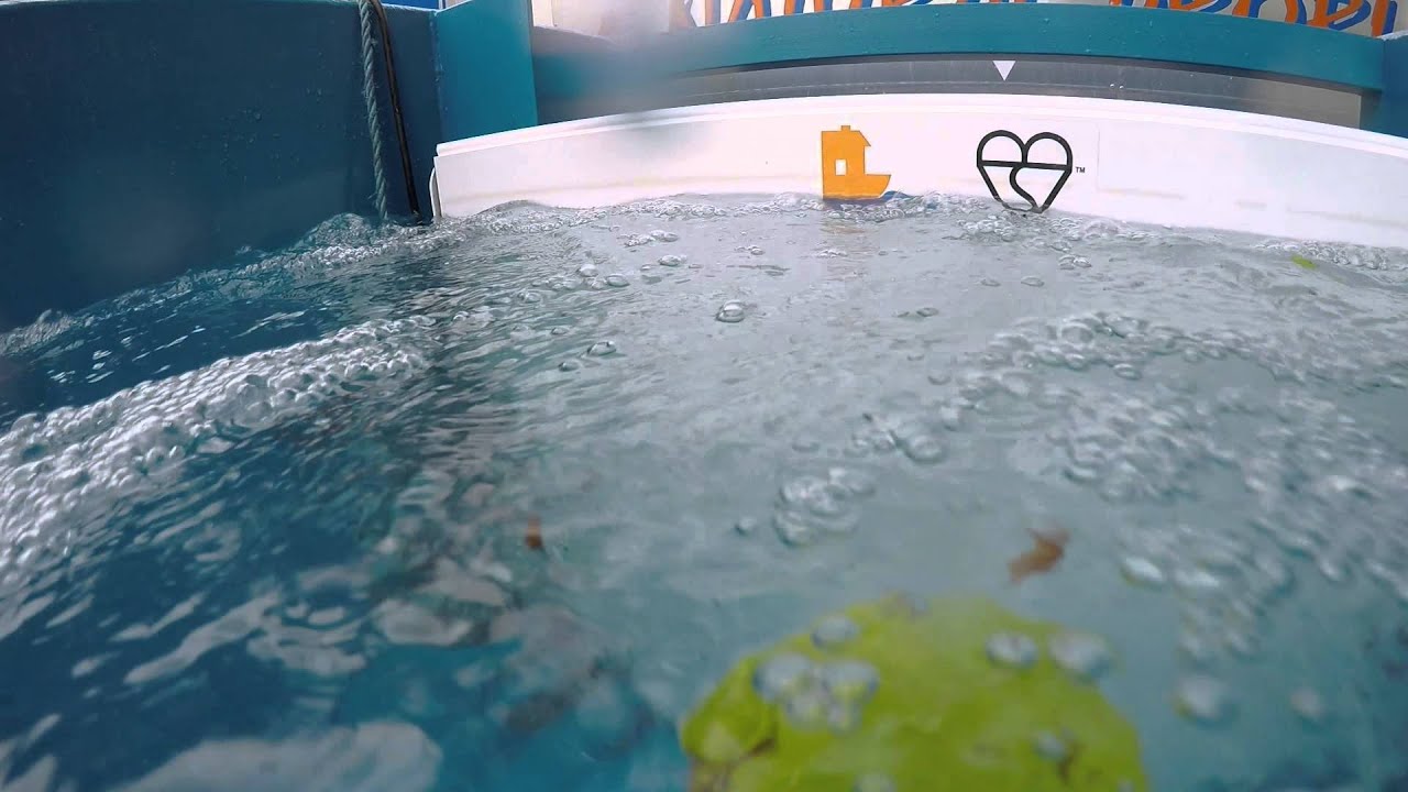 Flood Ark Testing and Development - YouTube