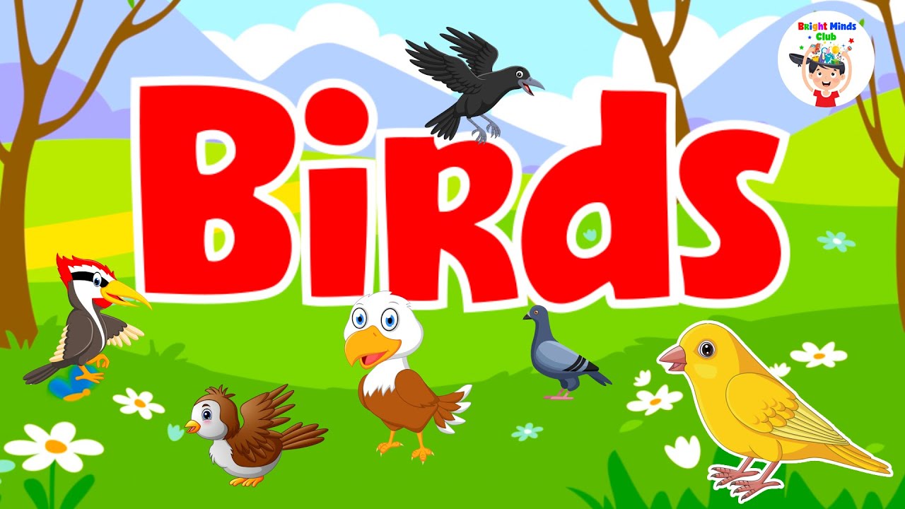 Birds | Learn Birds names in English | Kids Vocabulary | Bright Minds ...