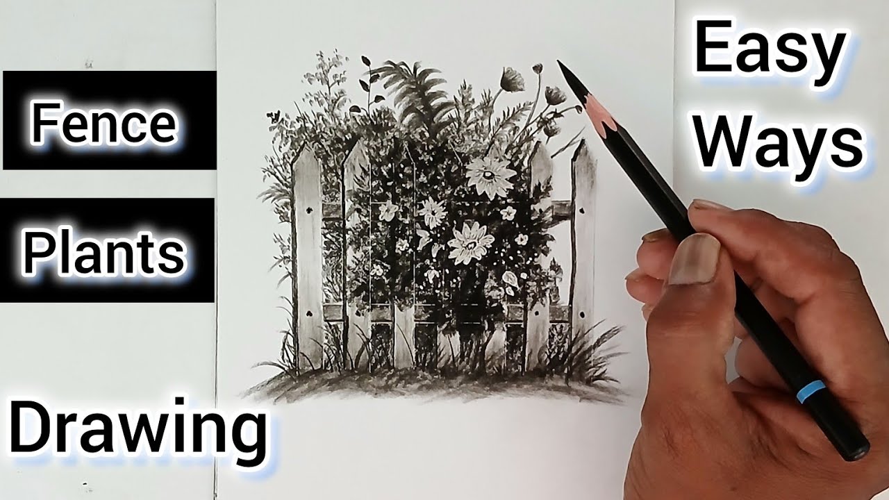 Perspective Fence Drawings Ink Sketch