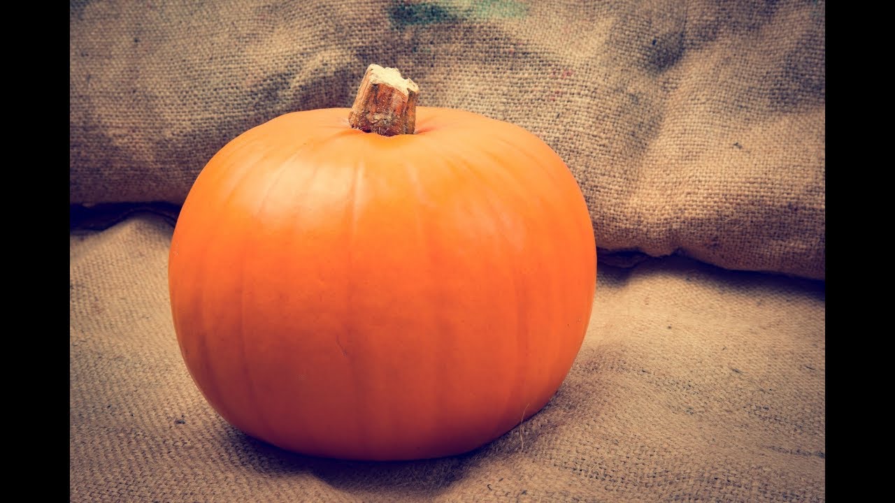 Pumpkin 101-How to Select and Store a Fresh Pumpkin (to eat) - YouTube