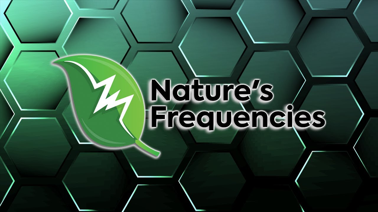 Conference on Food Freshness Card - YouTube