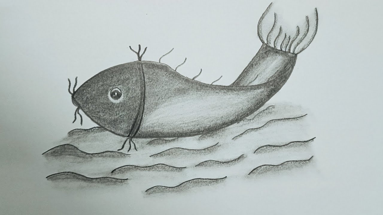 Pencil shading of a fish step by step #pencilshading #youtube ...