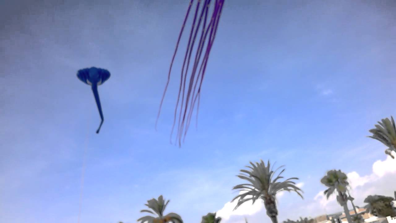 6m elephant kite and 23m octopus kite - YouTube