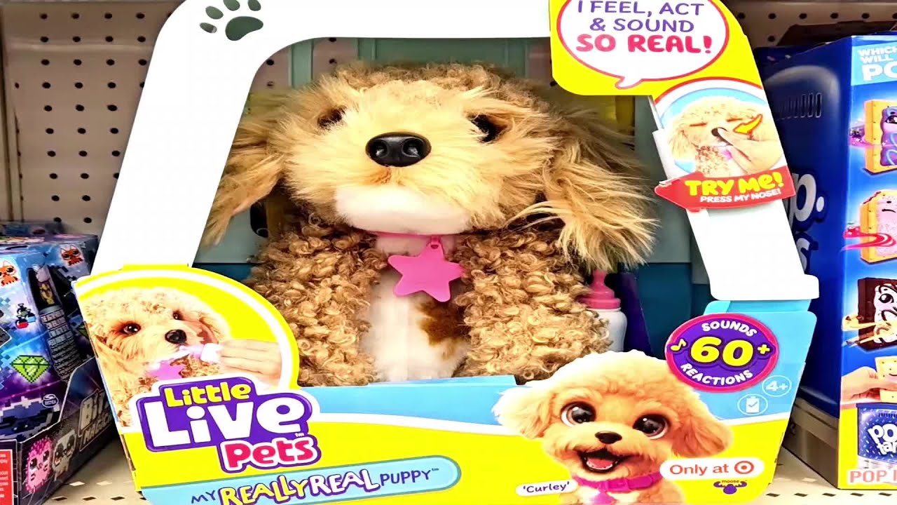 LITTLE LIVE PETS MY REALLY REAL PUPPY Shop with us at Target!!! - YouTube