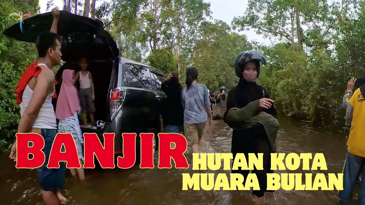JJS lihat Banjir di Hutan Kota Muara Bulian, alun alun Batanghari dan ...