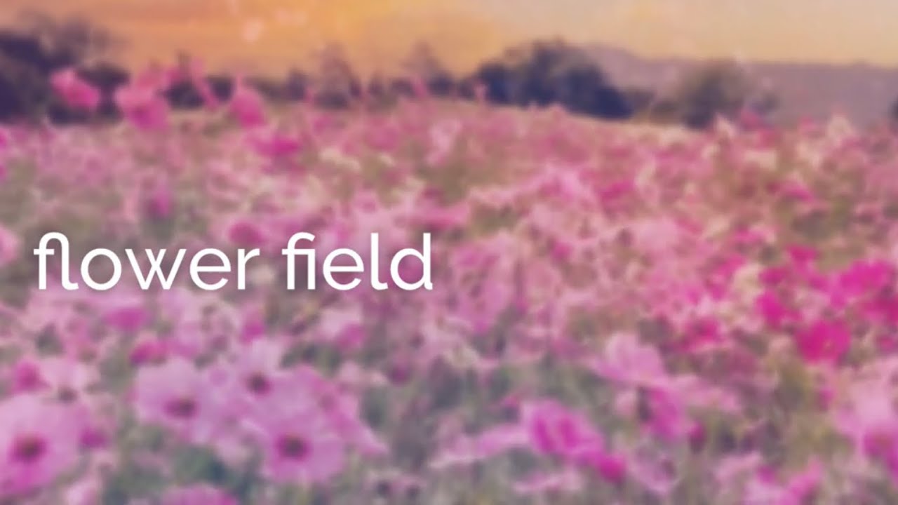 flower field || SynthV Original - YouTube