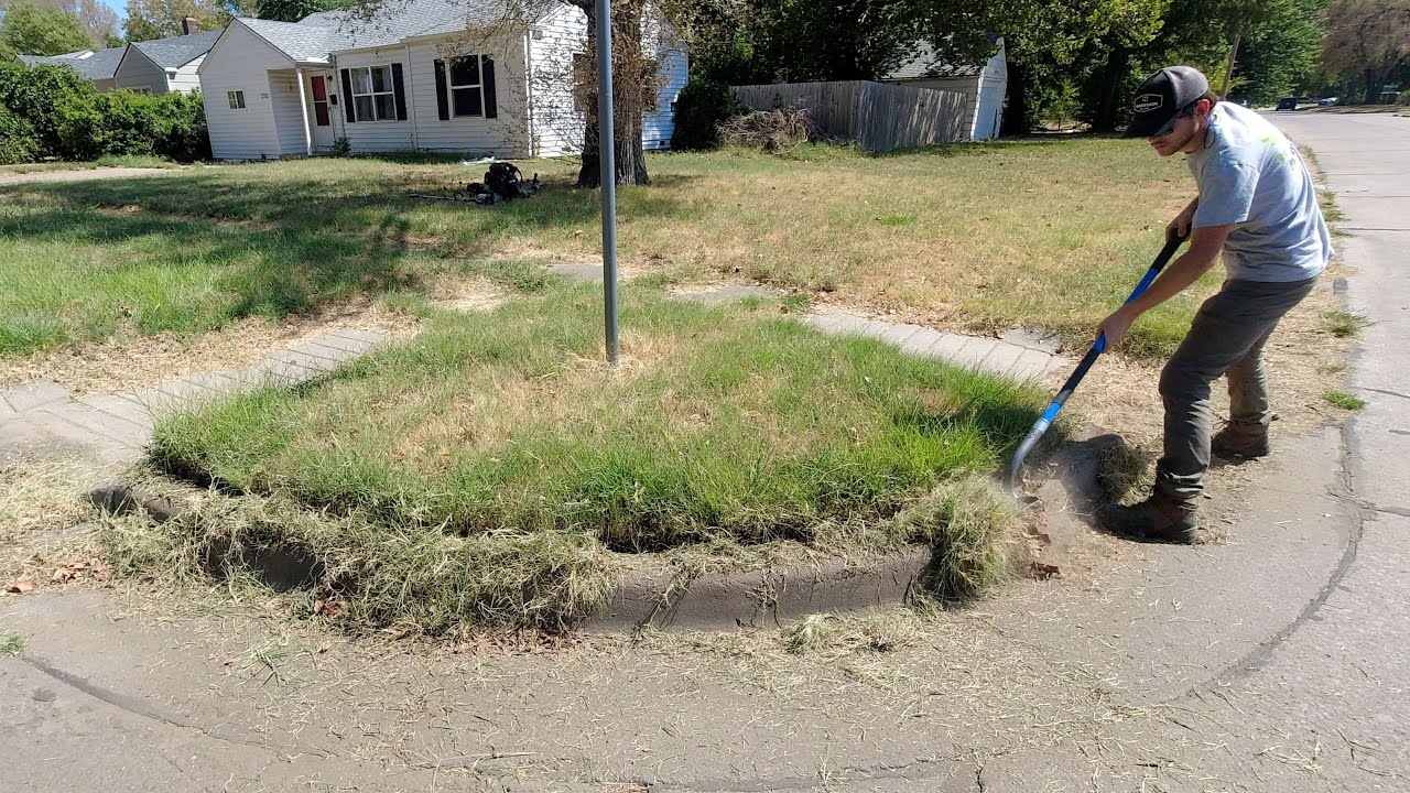 I FOUND this OVERGROWN SIDEWALK and PAID the Homeowner $100 to Uncover ...