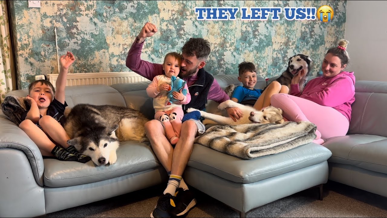 THEY LEFT US!!😭💔 - YouTube