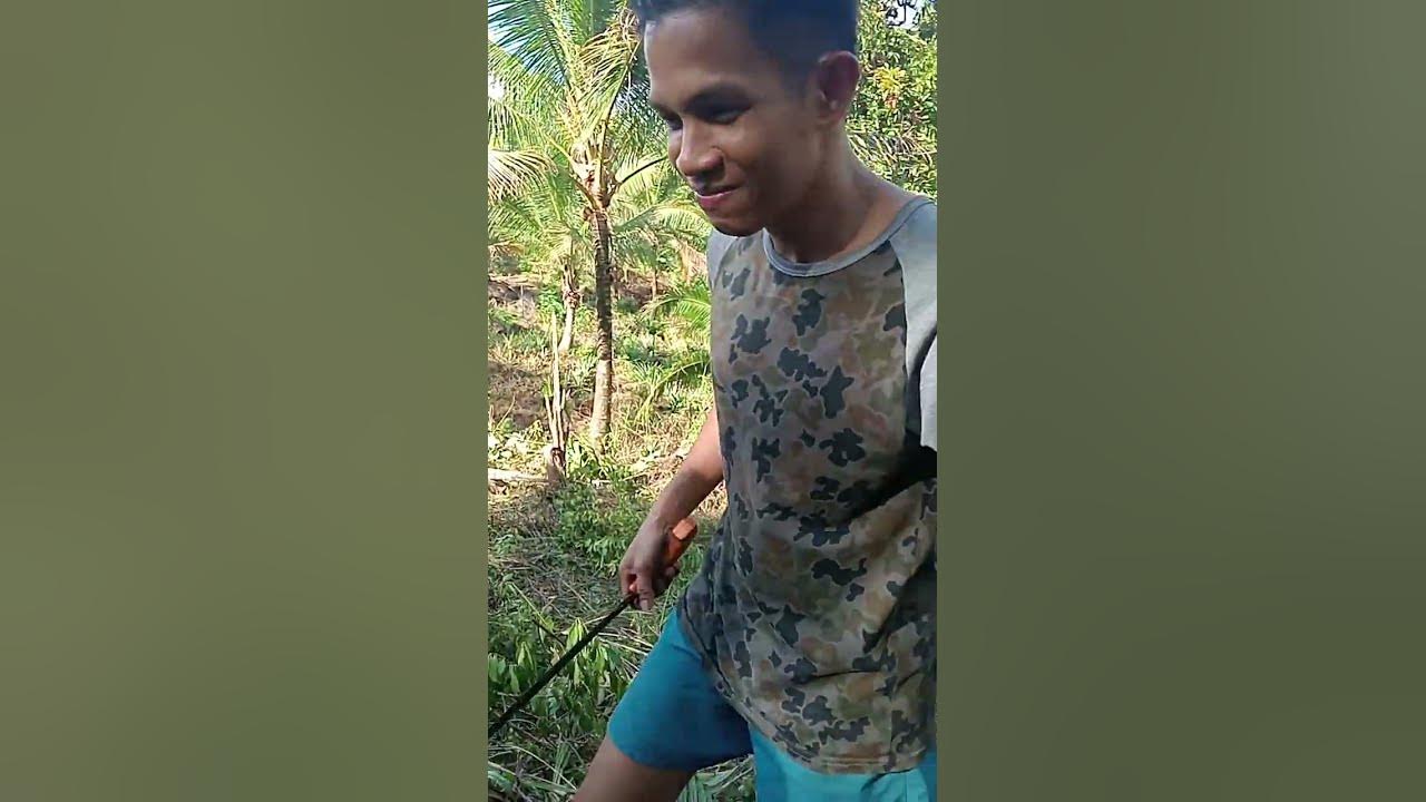 Si boy baid guix - YouTube