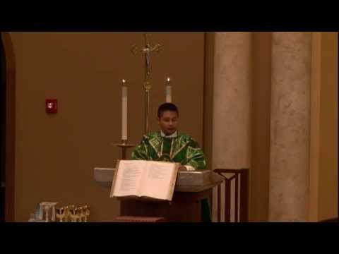 Homily from Fr Gerard Alba's First Mass - YouTube