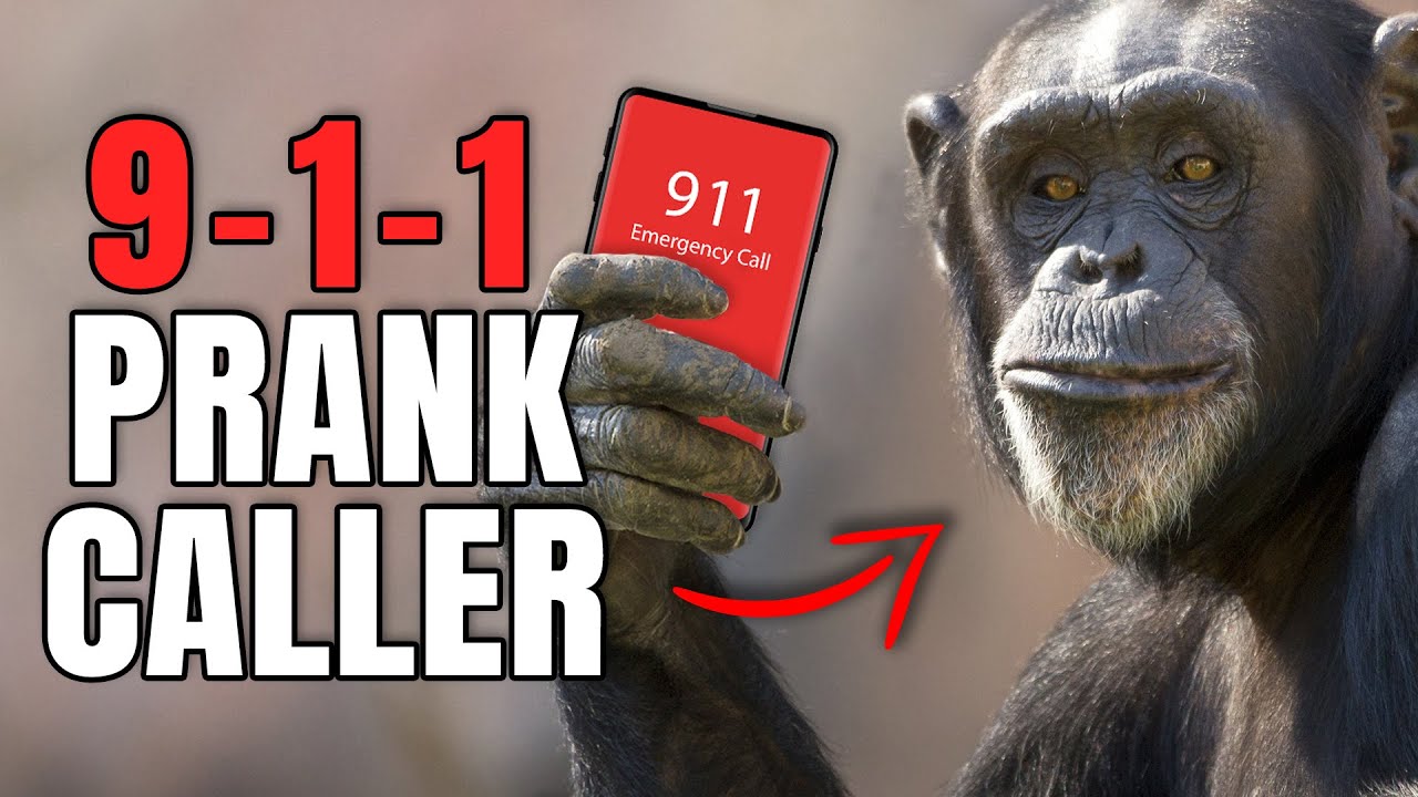 Monkey Accidentally Prank Calls 911! | KYN Weekly Animals - YouTube