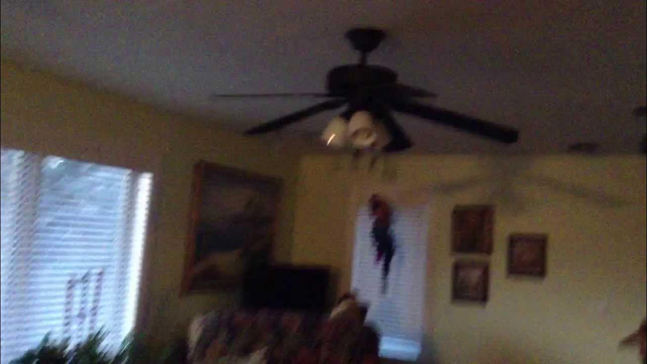 ceiling fans - YouTube