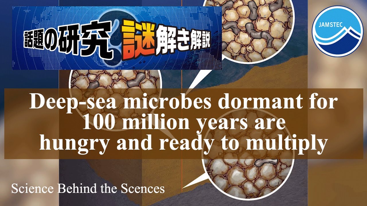 Science Behind the Scenes - Deep-sea microbes dormant for 100 million ...
