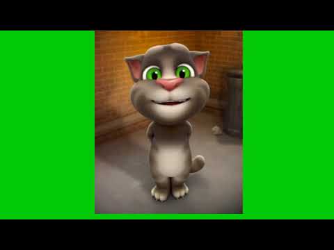Talking tom green effect video || No Copyright || Talking tom best ...