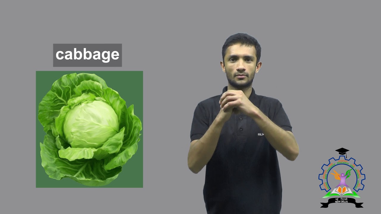 cabbage - YouTube