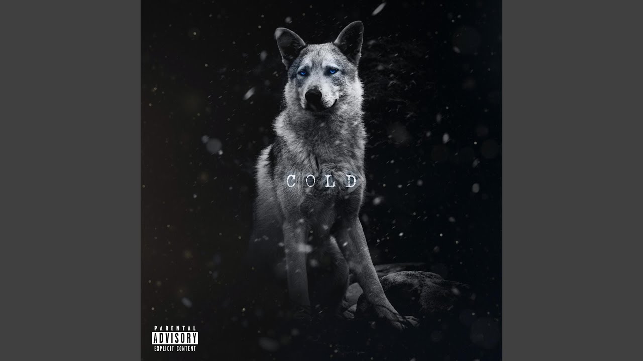 Cold (feat. Izzy Locks & Naveisdead) - YouTube