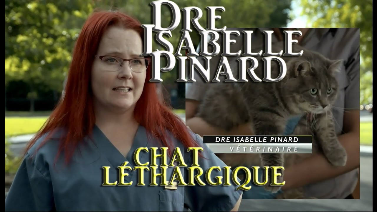 Dre Isabelle Pinard - Chat Léthargique - YouTube