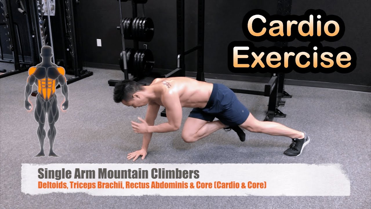 Cardio Exercise - Single Arm Mountain Climber - Exercise Library - YouTube
