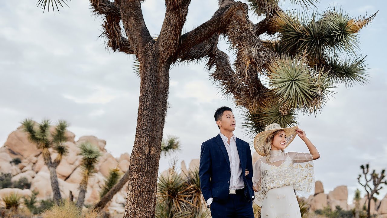 California wedding || Save the date Lisa & Dang - YouTube
