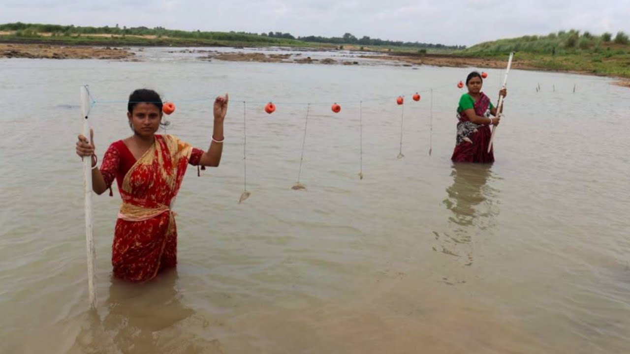 Fishing video | New Method | Fish Catching from the River New fishing ...