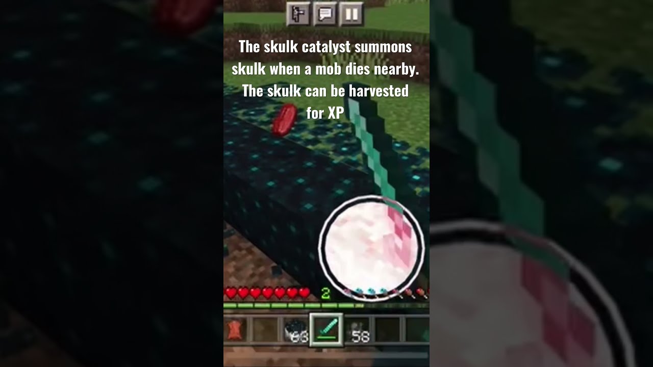 Minecraft Skulk Catalyst Fact - YouTube