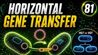 Horizontal vs Vertical Gene Transfer: Key Differences & Examples Explained @EnteMicrobialWorld