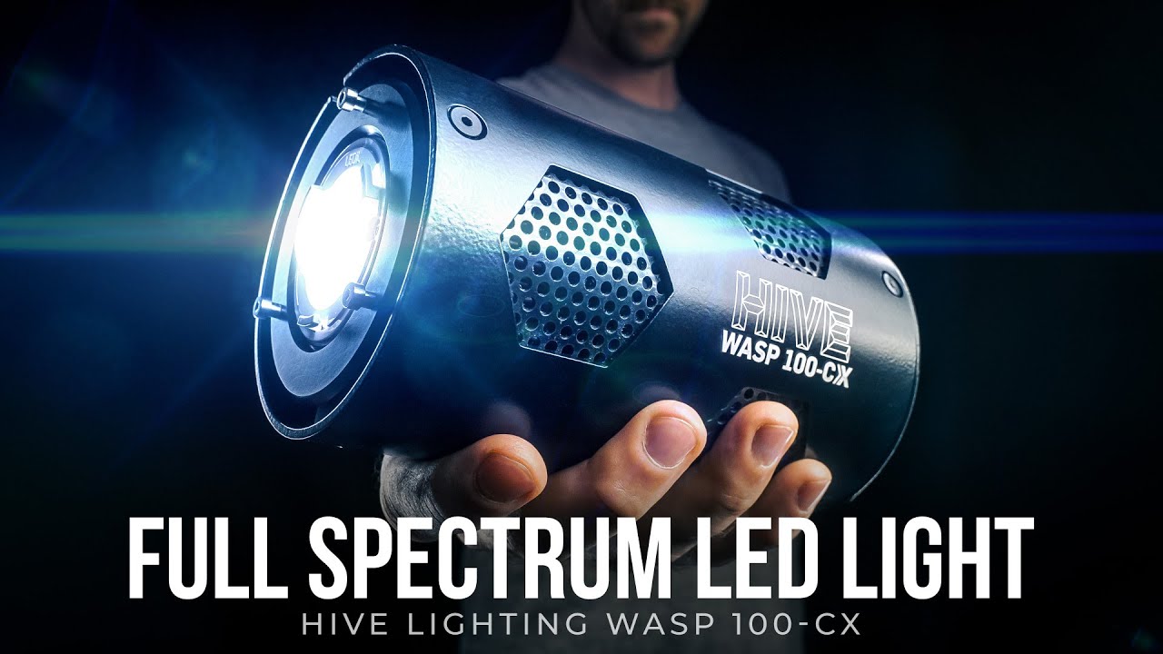 Hive Lighting Wasp 100-CX Review | Full Color LED Video Light - YouTube