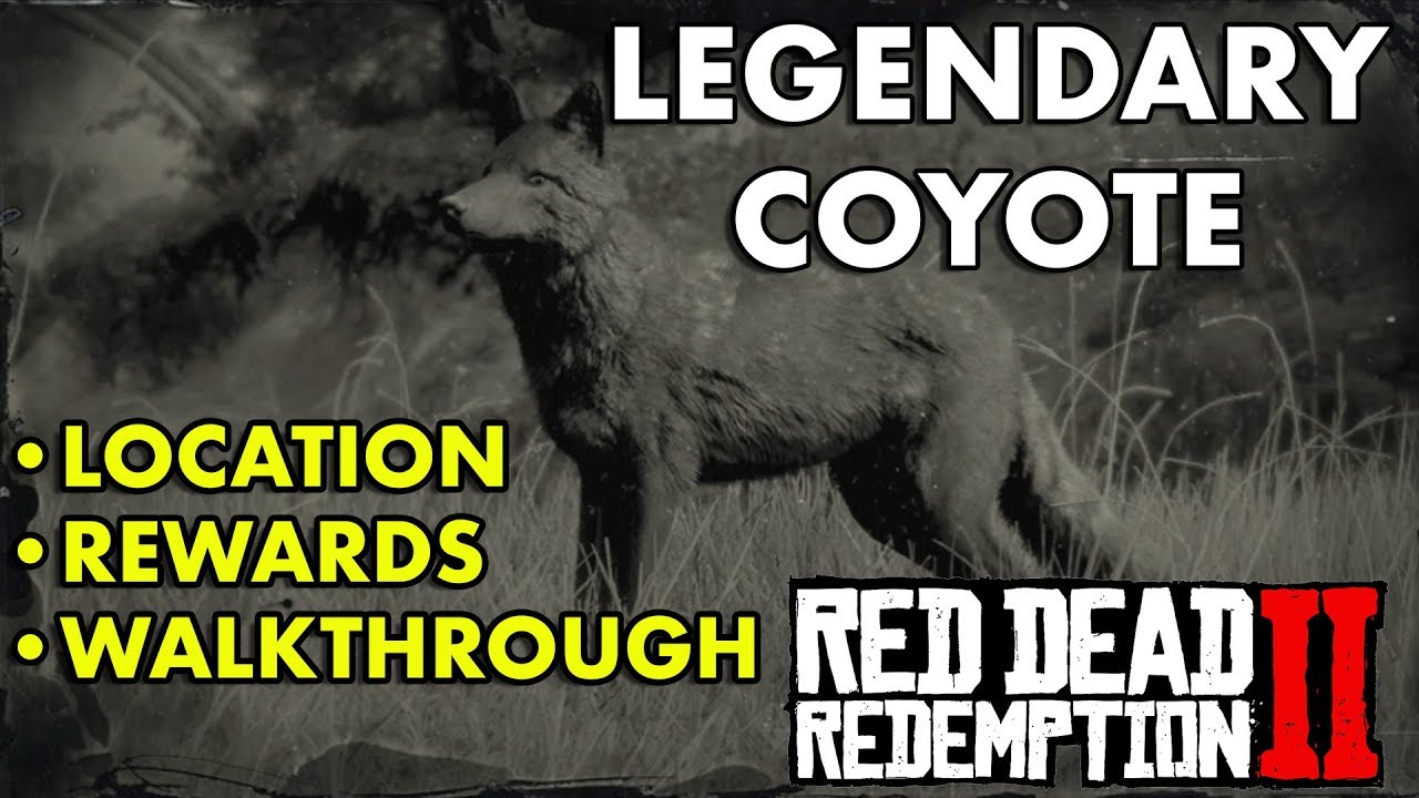 Red Dead Redemption 2 - Legendary Coyote (Location, Rewards ...