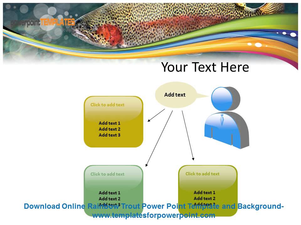 Download Online Rainbow Trout Powerpoint Template - YouTube