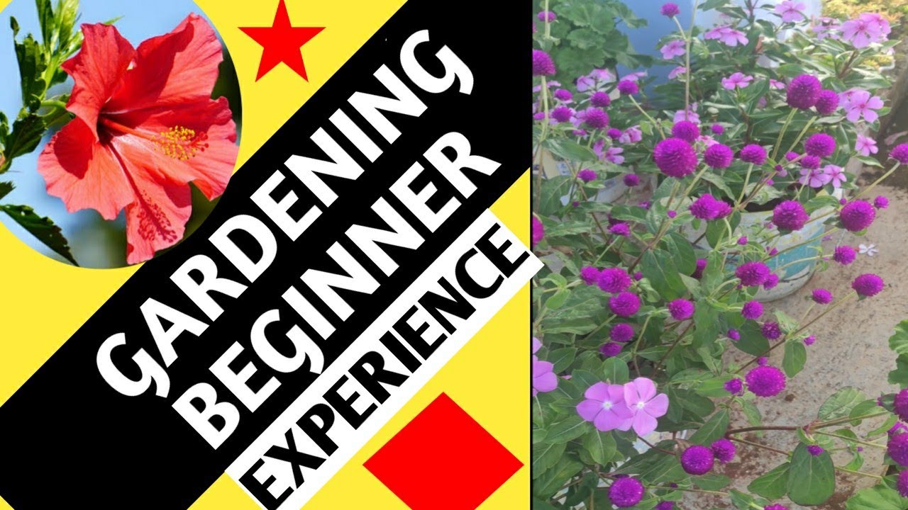 GARDENING BEGINNER EXPERIENCE - YouTube