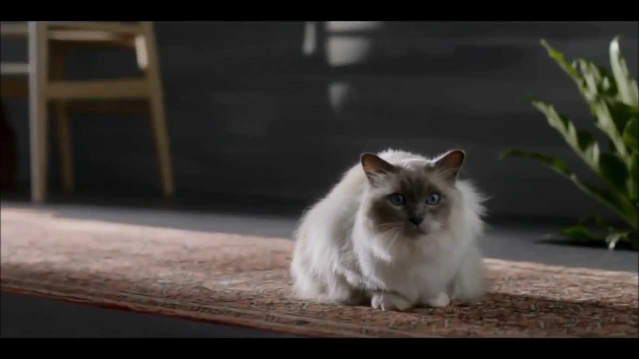 Internet of Everything Commercial by Cisco Commercial 2014 - YouTube