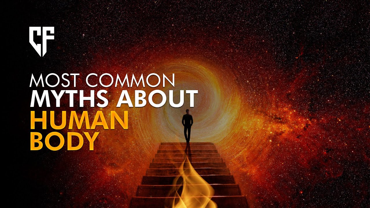 Facts About Human body | Myths | - YouTube