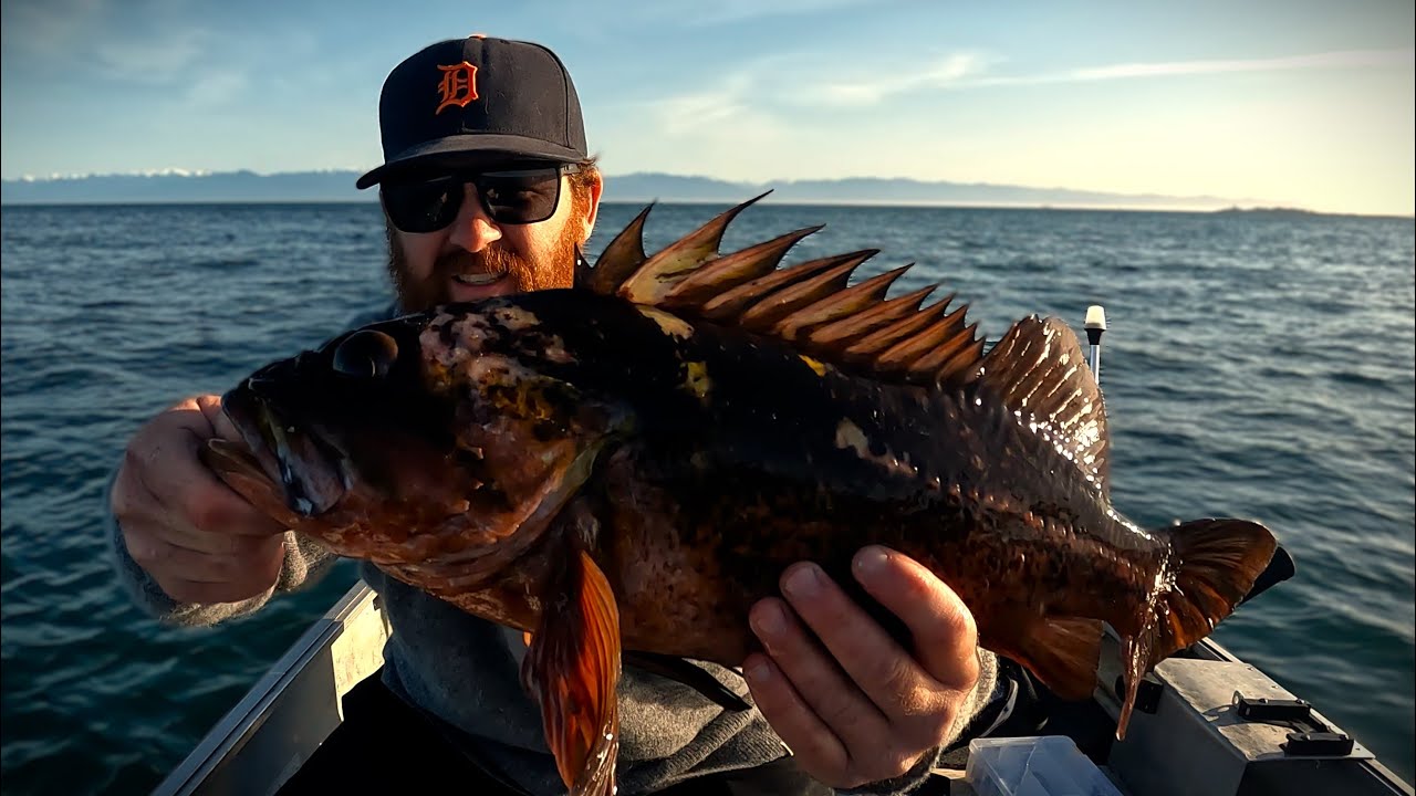 Fishing for Lingcod, Catching Rockfish and Trapping Dungeness Crabs in ...