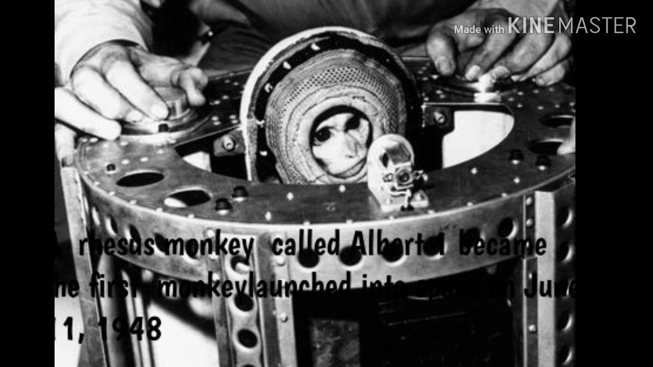 ALBERT the space monkey..(MR.scientific) I made a new video about ...