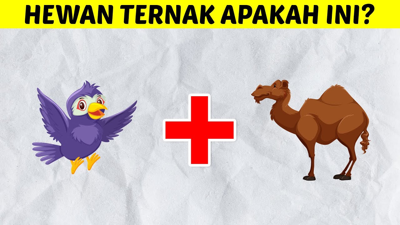 SERING DIKONSUMSI! COBA JAWAB TEKA-TEKI TEBAK GAMBAR NAMA HEWAN TERNAK INI - YouTube