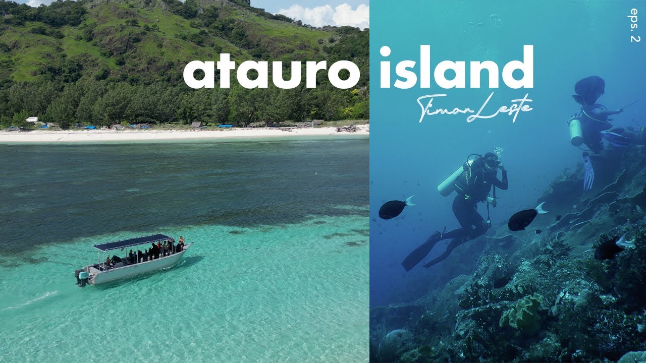 scuba diving pertama di pulau atauro, timor leste | happy bubbles 🤿 ...