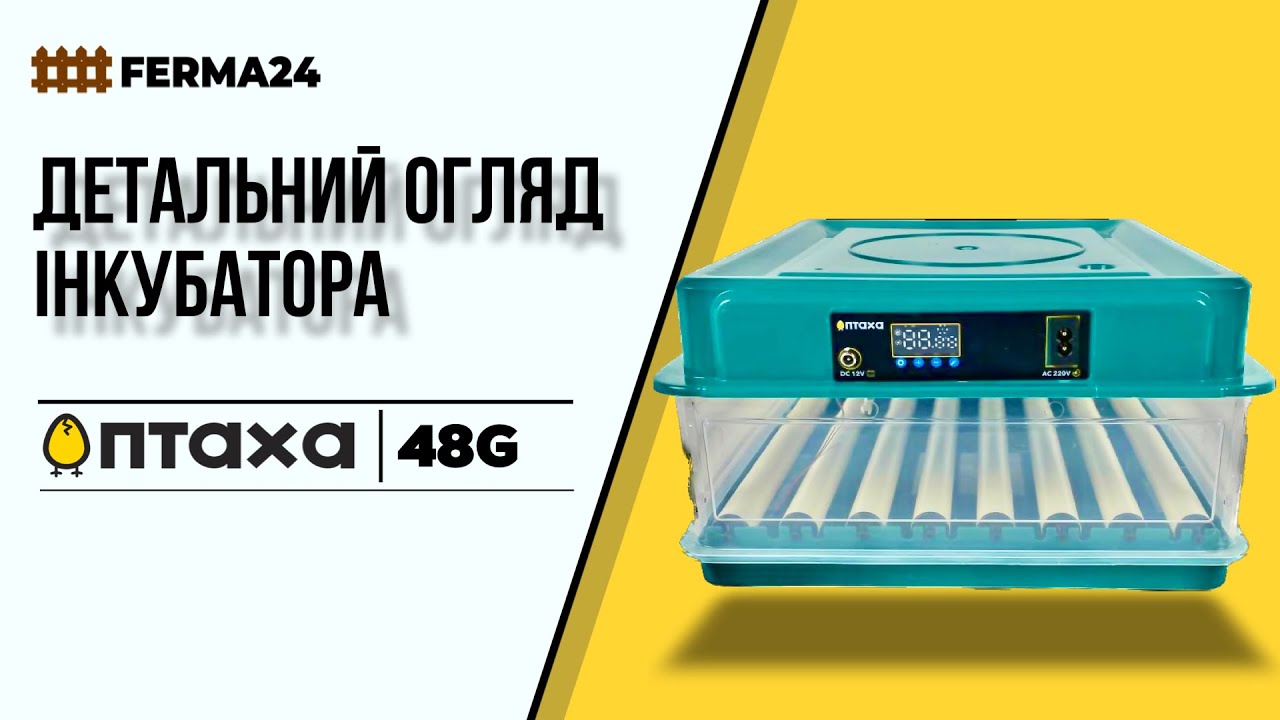 Інкубатор ПТАХА 48-G. Детальний огляд - YouTube